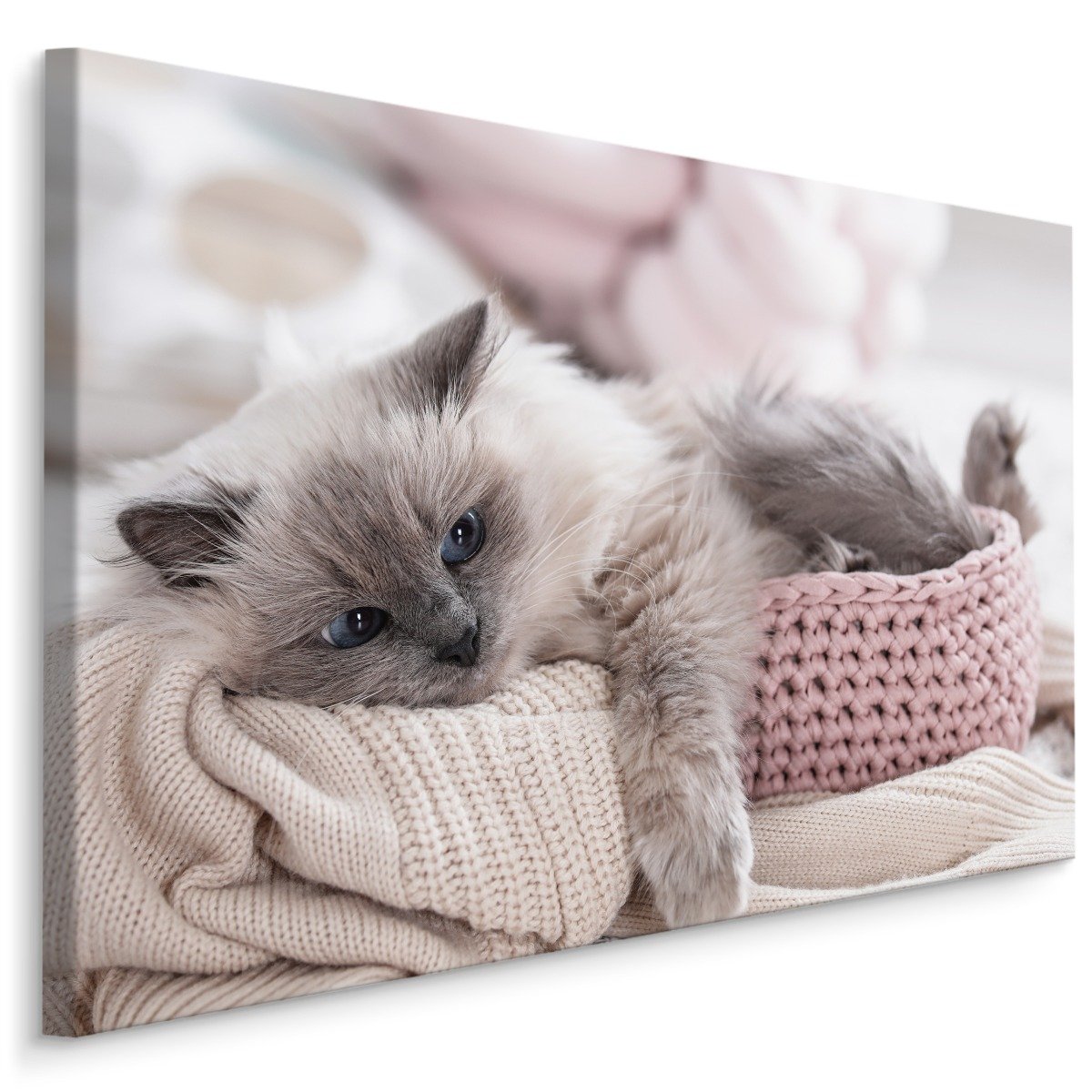 Obraz Ścienny Canvas Słodki KOTEK Zwierzę Natura Dekoracja 3D 100cm x ...