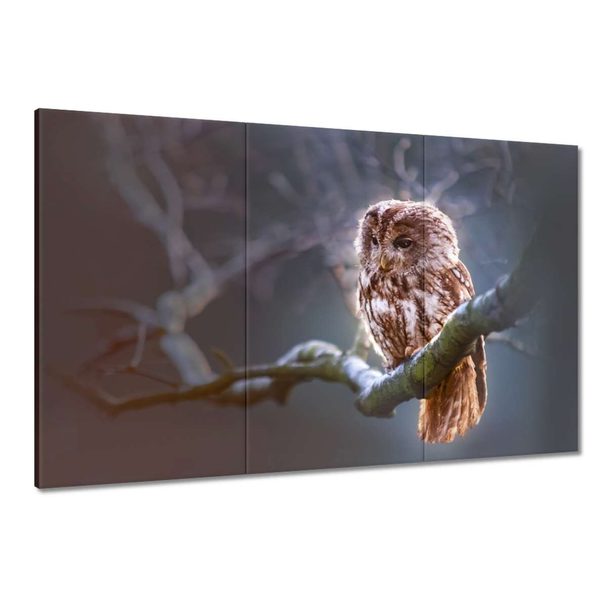 Obraz Sowa na gałęzi Drapieżnik, 120x80cm - ZeSmakiem | Sklep EMPIK.COM