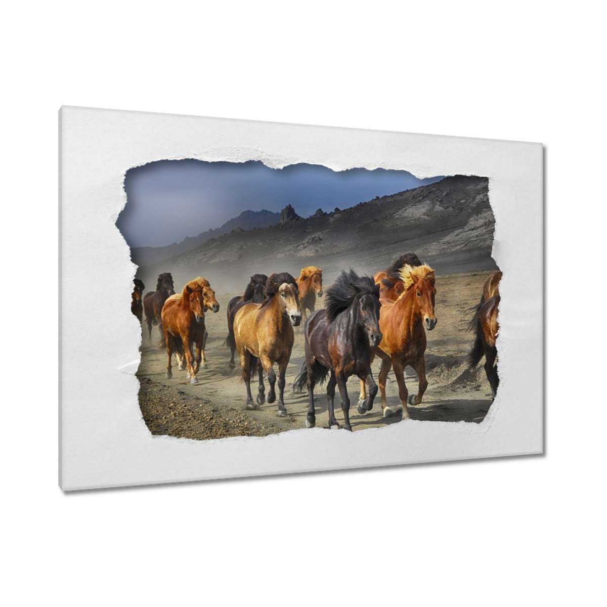 Obraz Stado koni, 120x80cm - ZeSmakiem | Sklep EMPIK.COM