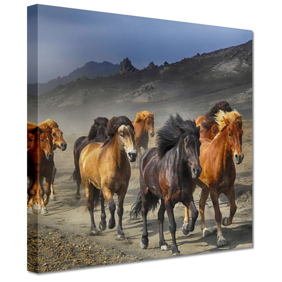 Obraz Stado koni, 20x20cm - ZeSmakiem | Sklep EMPIK.COM