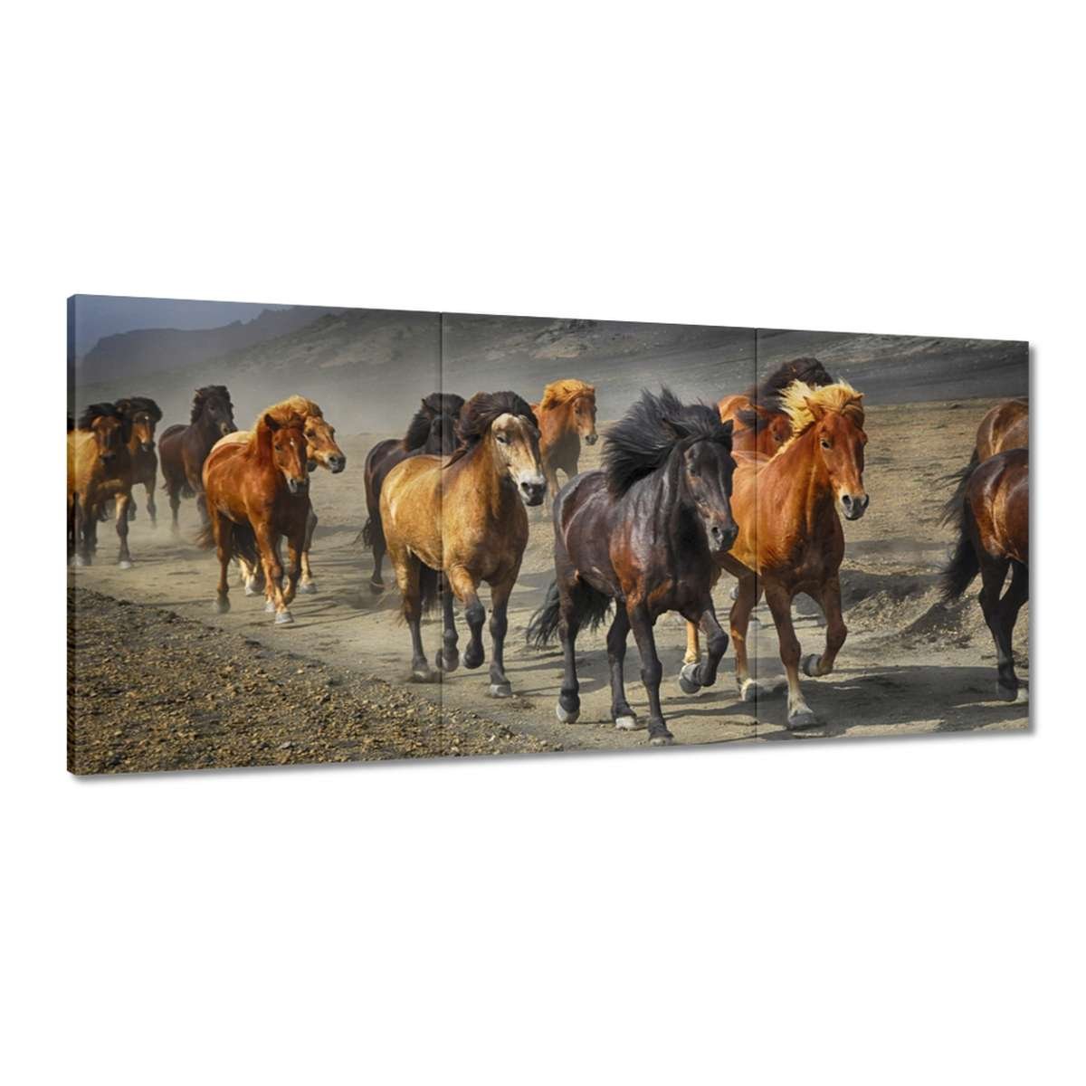 Obraz Stado koni, 210x100cm - ZeSmakiem | Sklep EMPIK.COM