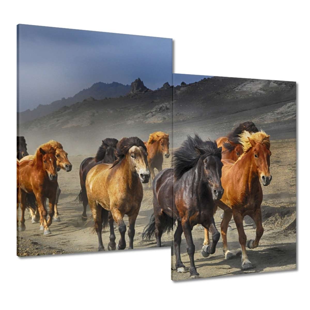 Obraz Stado koni, 80x70cm - ZeSmakiem | Sklep EMPIK.COM