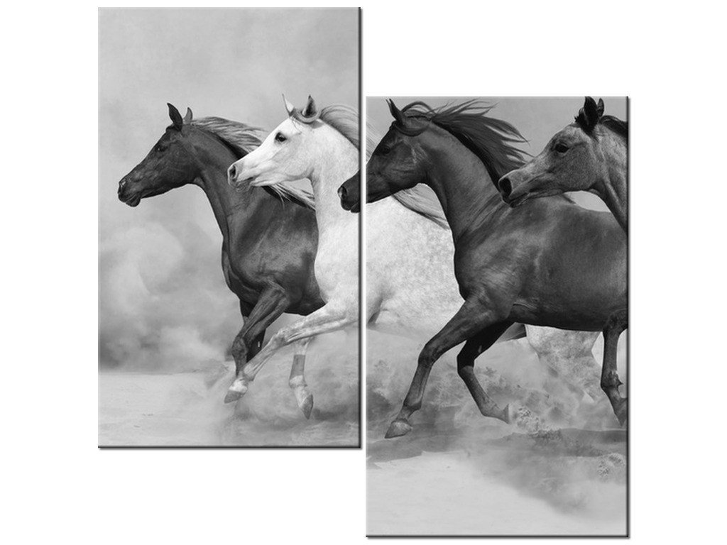 Obraz Stado w burzy piaskowej, 2 elementy, 60x60 cm - Oobrazy | Sklep ...
