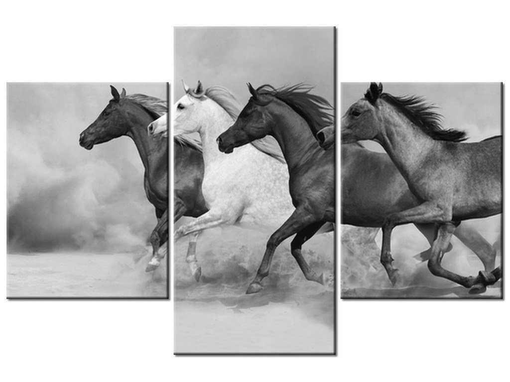 Obraz Stado w burzy piaskowej, 3 elementy, 90x60 cm - Oobrazy | Sklep ...