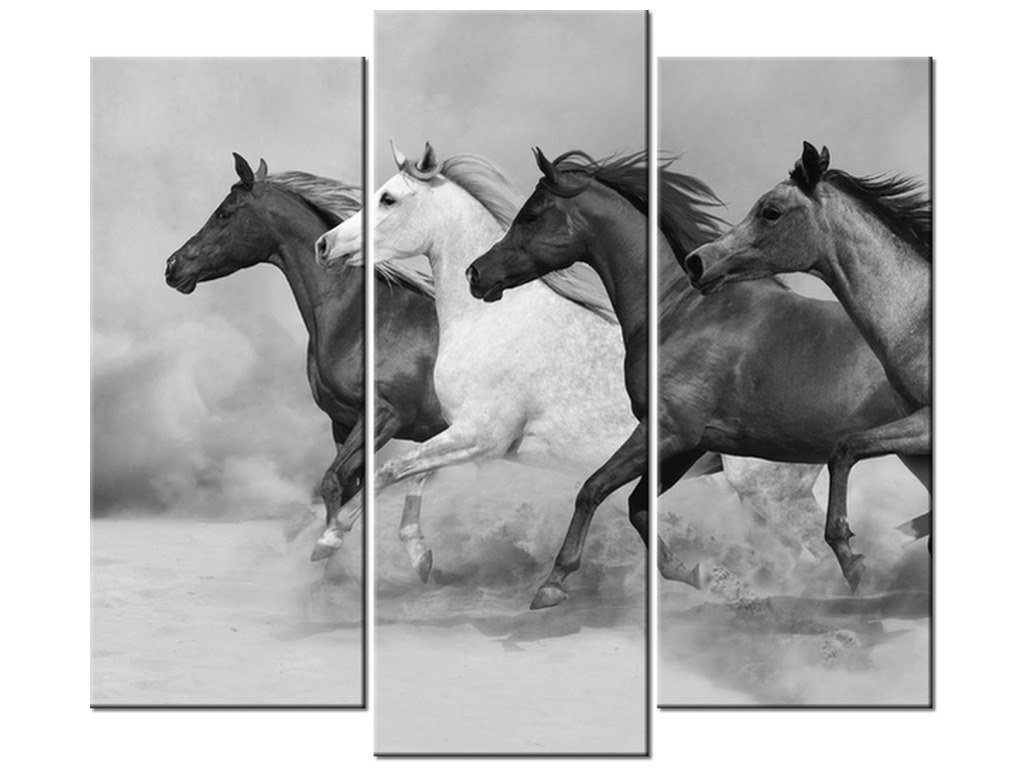 Obraz Stado w burzy piaskowej, 3 elementy, 90x80 cm - Oobrazy | Sklep ...