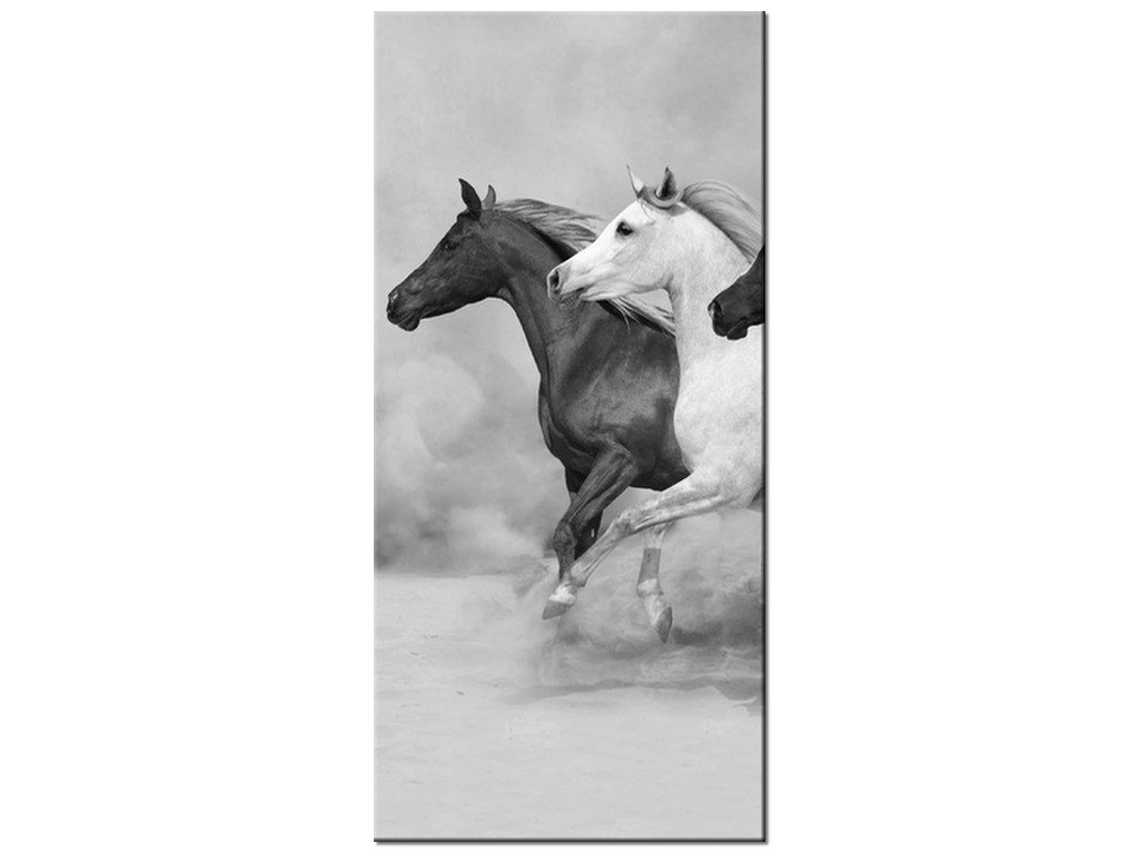 Obraz Stado w burzy piaskowej, 55x115 cm - Oobrazy | Sklep EMPIK.COM