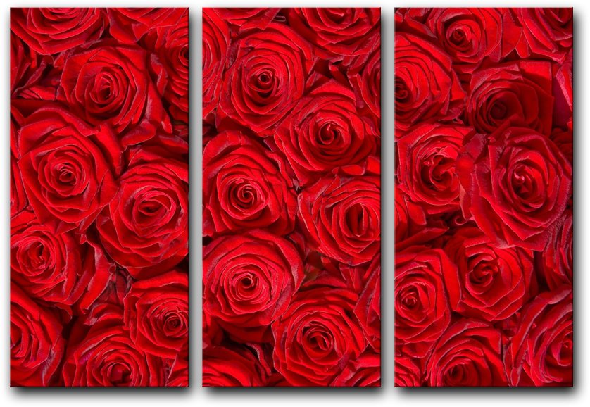 obraz tryptyk czerwone róże - PR01510 - PRINTORAMA | Sklep EMPIK.COM