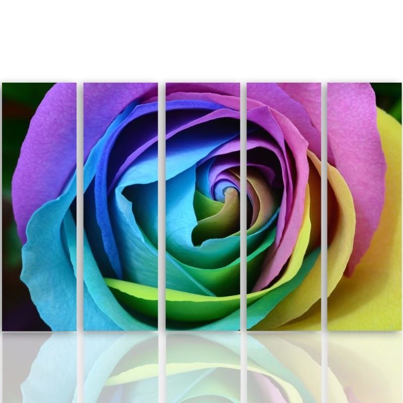 Obraz tryptyk pięcioczęściowy FEEBY, Kwiat Róża Kolorowa 100x70 - Feeby | Sklep EMPIK.COM