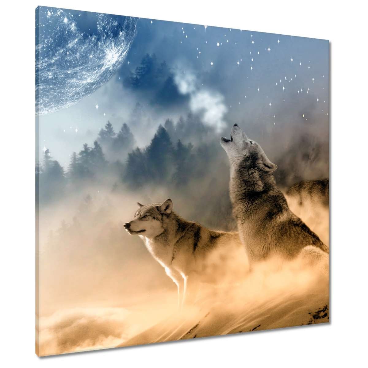 Obraz Wilk wyjący do Księżyca, 80x80cm - ZeSmakiem | Sklep EMPIK.COM