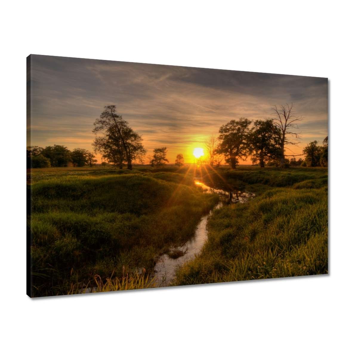 Obraz Zachodzące słońce Rogalin, 70x50cm - ZeSmakiem | Sklep EMPIK.COM