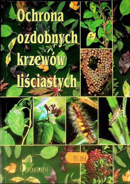 Ochrona ozdobnych krzewów liściastych - Łabanowski Gabriel | Książka w Empik