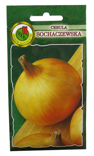 Odmiana późna, bardzo plenna o dużej zawartości suchej masy i witaminy ...