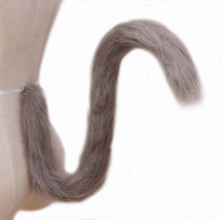 Ogon kota w: Sklep Empik