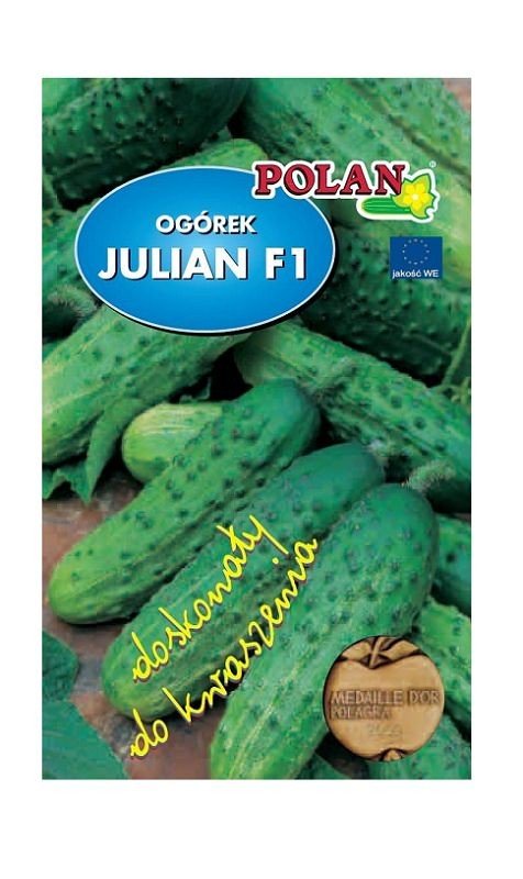 Ogórek gruntowy Julian - mieszaniec 5 g POLAN - Inna marka | Sklep ...