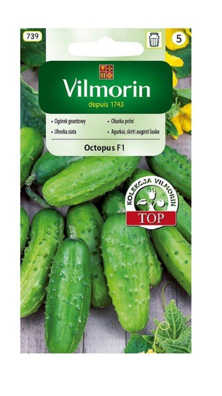 Ogórek gruntowy Octopus F1 1,5 g Vilmorin - Vilmorin | Sklep EMPIK.COM