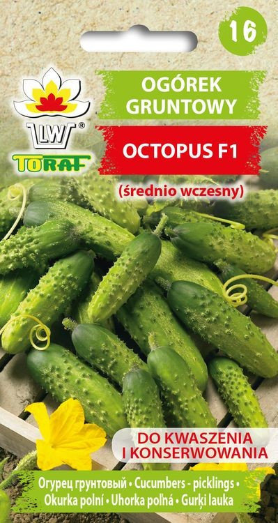 Ogórek OCTOPUS F1 (śr. wczesny) Cucumis sativus L. - Toraf | Sklep ...