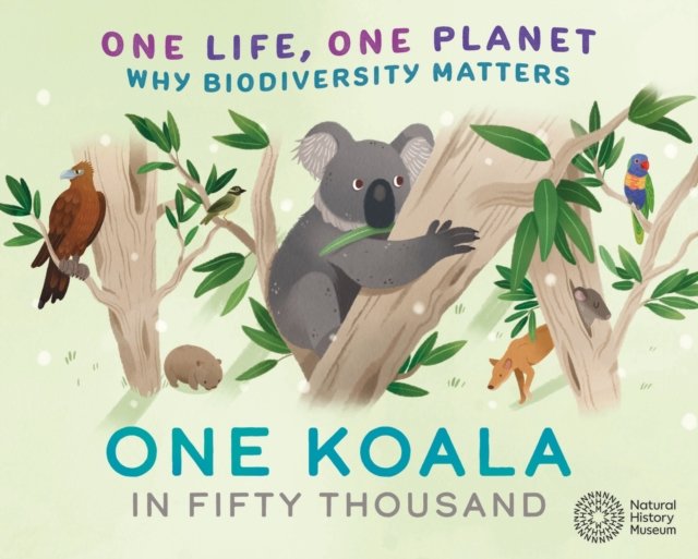 One Life, One Planet, One Life, One Planet: One Koala in Fifty Thousand ...