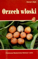Orzech włoski - Zdyb Henryk | Książka w Empik