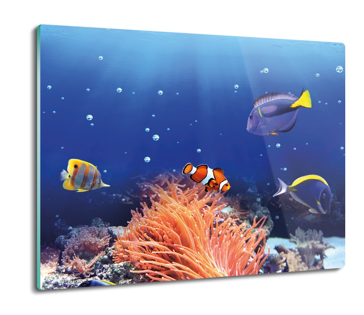 osłona do kuchenki ze szkła Ryby rafa ocean 60x52, ArtprintCave ...