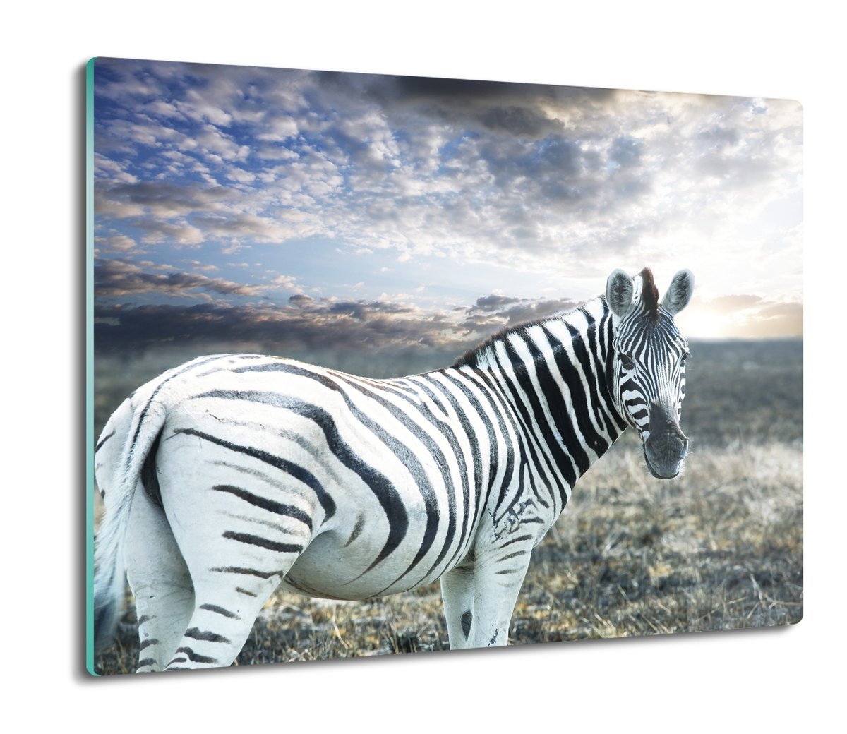 osłona splashback z foto Zebra trawa chmury 60x52, ArtprintCave ...