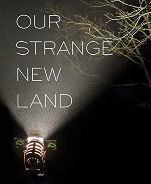 Our Strange New Land: Photographs from Narrative Movie Sets Across the ...