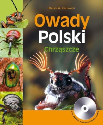 Owady Polski. Chrząszcze - Kozłowski Marek | Książka w Empik
