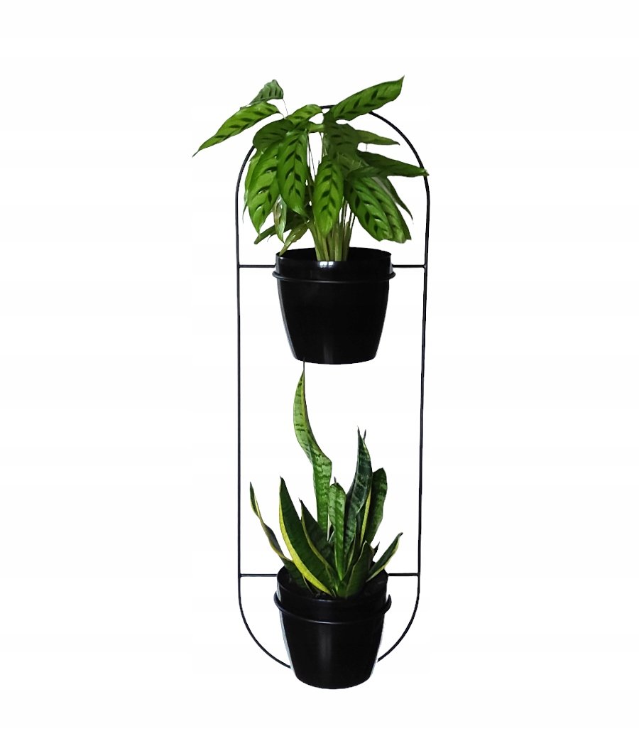 Owal Xl Podwójny 95 Cm - Inna marka | Sklep EMPIK.COM