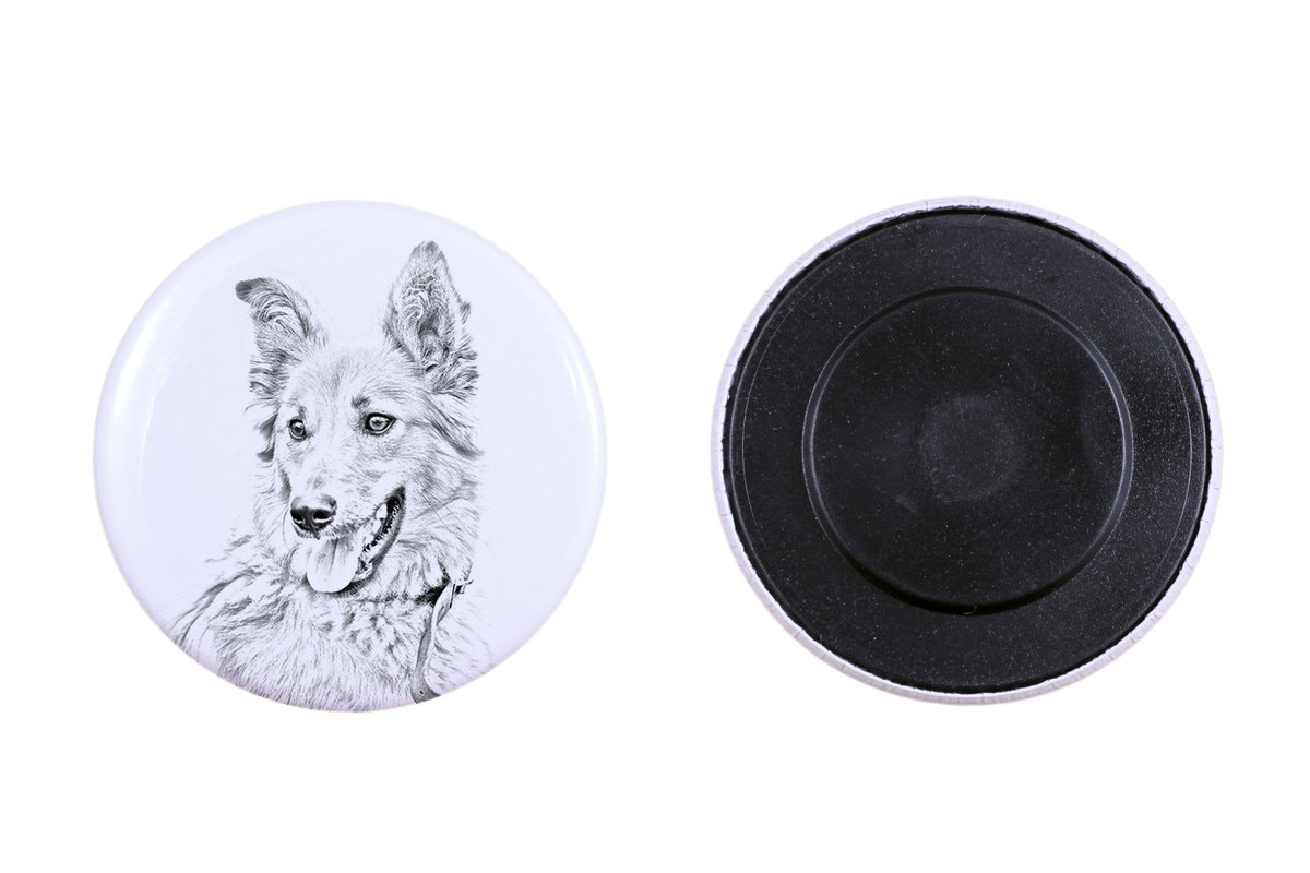 Owczarek baskijski, Basque Shepherd Dog - magnes z psim pupilem ...