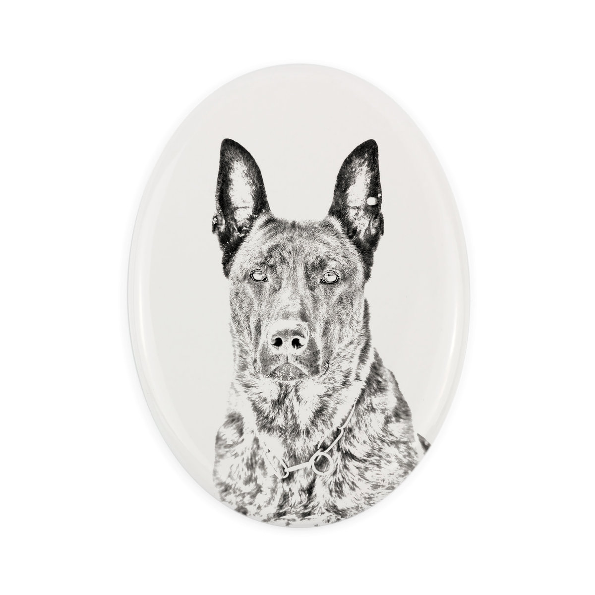 Owczarek holenderski, Dutch Shepherd Dog - płytka pamiątkowa ze ...