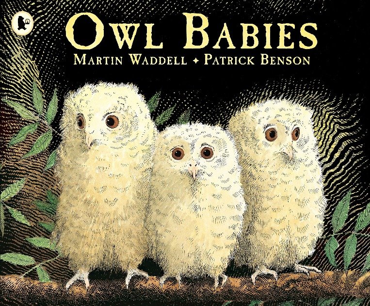 Owl Babies Story Book - Waddell Martin | Książka w Empik