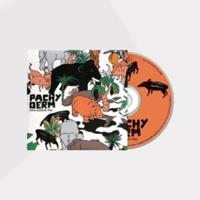 Pachyderm - David Gordon Trio | Muzyka Sklep EMPIK.COM