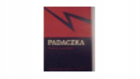 Padaczka - Ladacznica Święta | Książka w Empik