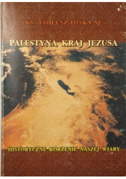 Palestyna kraj Jezusa - Wydawnictwo WAM | Książka w Empik