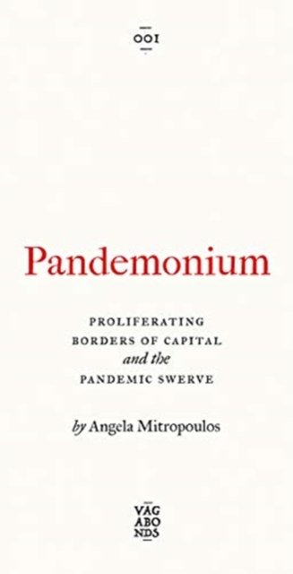 Pandemonium Proliferating Borders of Capital and the Pandemic Swerve ...