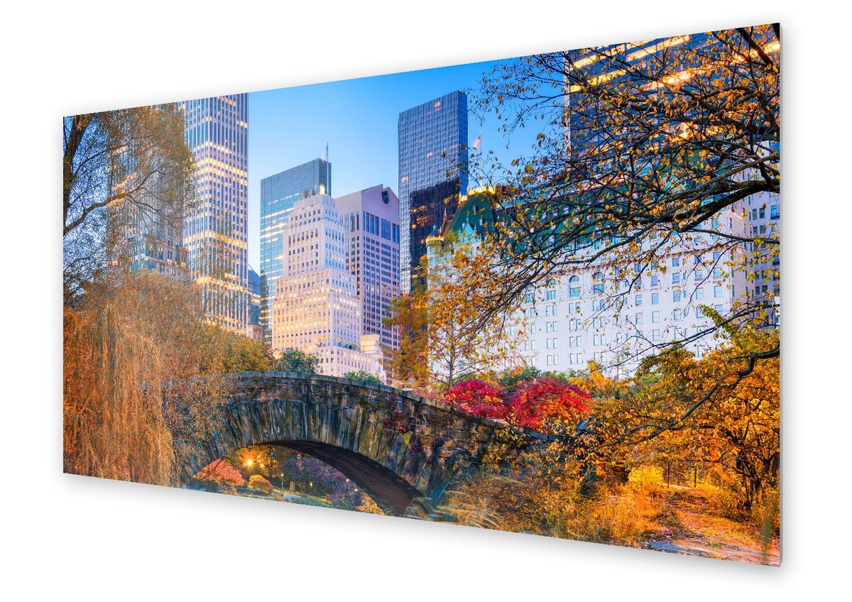 Panel kuchenny HOMEPRINT Central Park w Nowym Yorku 120x60 cm ...