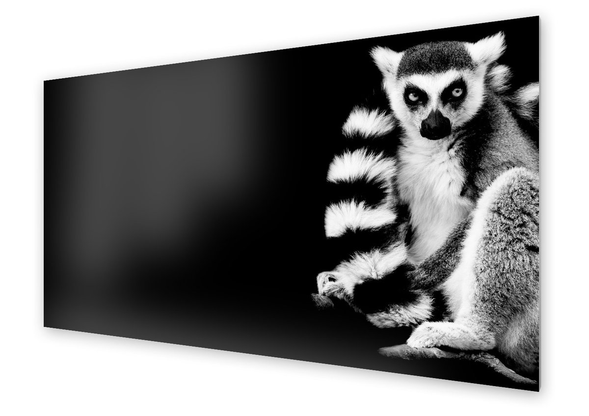 Panel kuchenny HOMEPRINT Lemur na czarnym tle 140x70 cm - HOMEPRINT ...