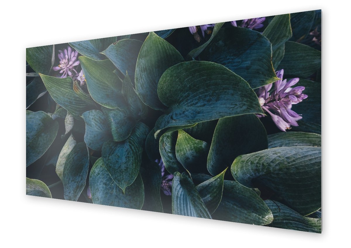 Panel kuchenny HOMEPRINT Liście hosty 125x50 cm - HOMEPRINT | Sklep ...