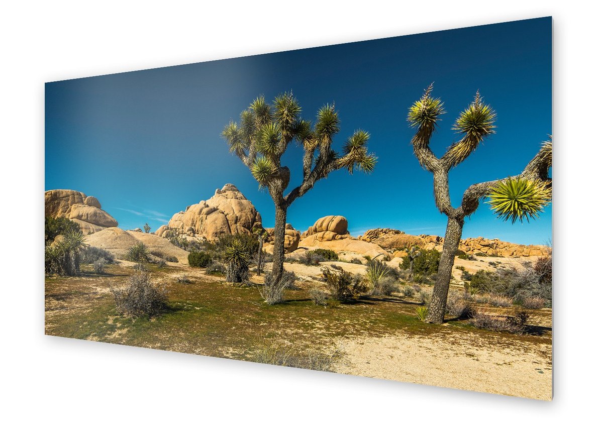 Panel kuchenny HOMEPRINT Park Narodowy Joshua Tree 125x50 cm ...