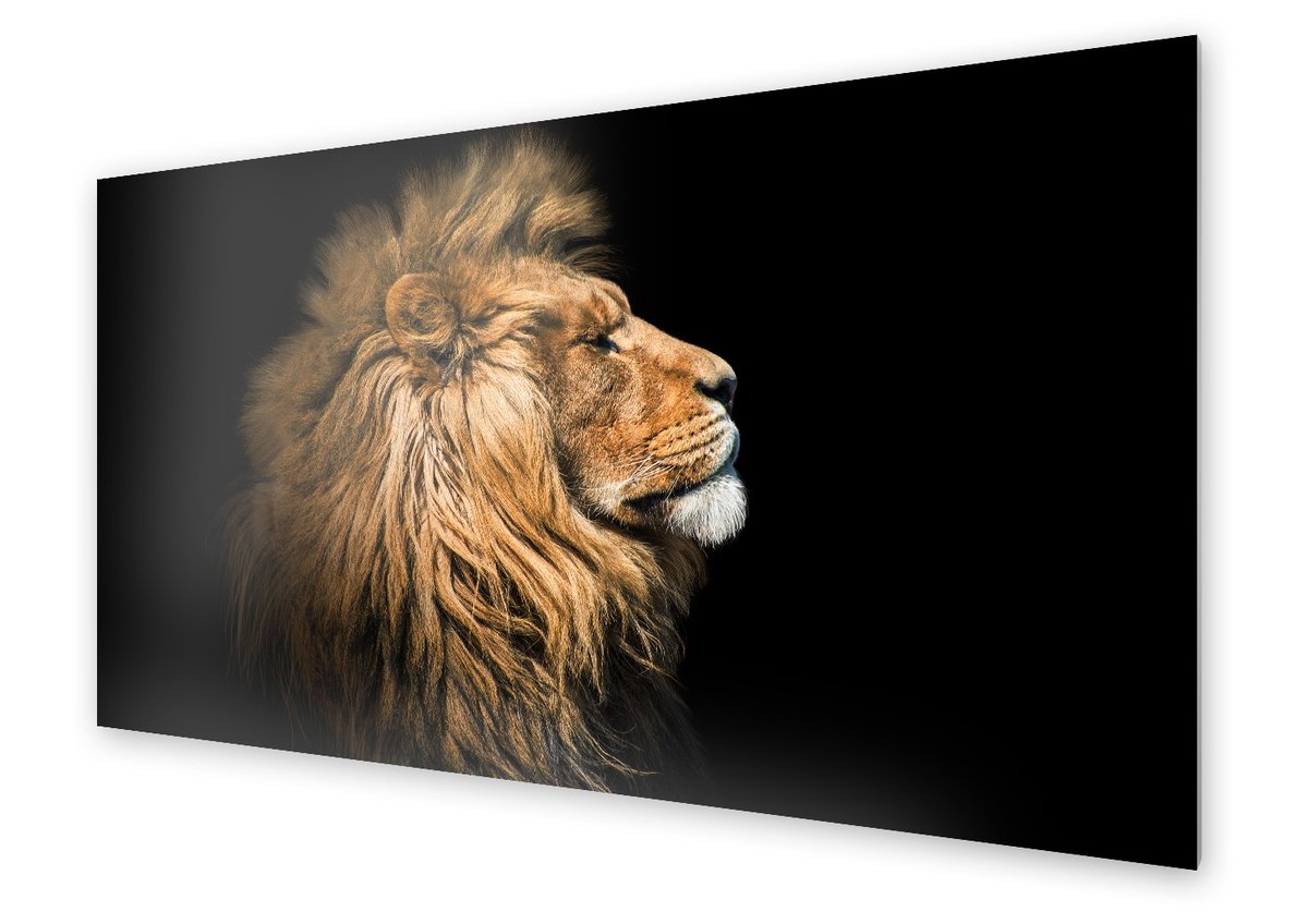 Panel kuchenny HOMEPRINT Profil lwa 120x60 cm - HOMEPRINT | Sklep EMPIK.COM