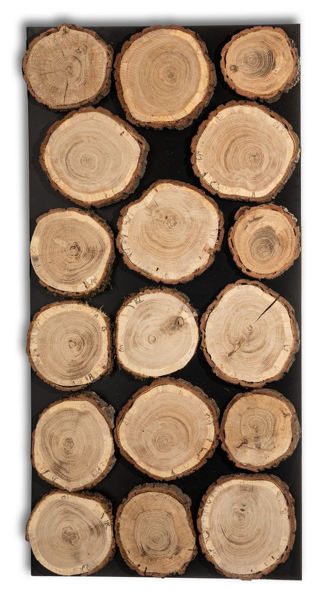 Panel Ścienny Dekoracyjny 76X38X3 Plastry Dębu 1 Szt Surowy Płyta Hdf ...