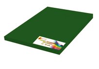 Papier kolorowy techniczny 160-220g A3 zielony ciemny butelkowy 25 arkuszy - Shan | Sklep EMPIK.COM