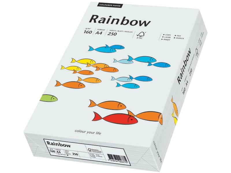 Papier Rainbow A4 160g jasno szary R93 - Papyrus | Sklep EMPIK.COM