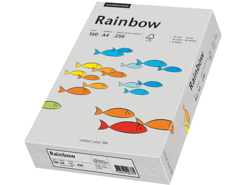 Papier Rainbow A4 160g szary R96 - Papyrus | Sklep EMPIK.COM