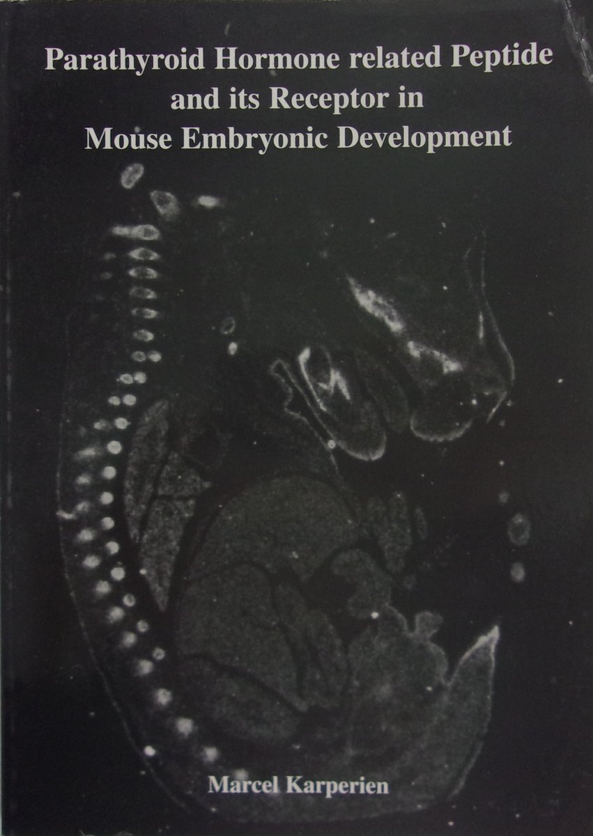 Parathyroid hormone related Peptide and its Receptor in Mouse Embryonic ...