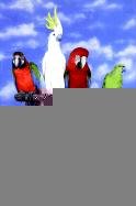 Parrot Training: A Guide to Taming and Gentling Your Avian Companion ...