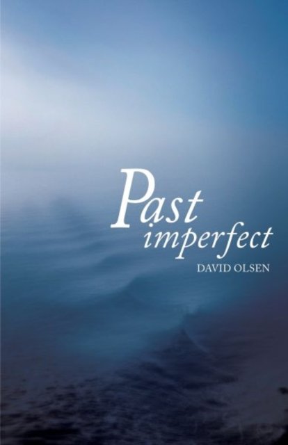 Past Imperfect - David Olsen | Książka w Empik
