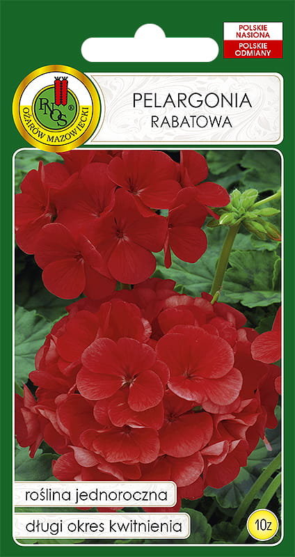 PELARGONIA RABATOWA F1 CZERWONA 10z Nasiona Kwiatów PNOS - Inna marka ...