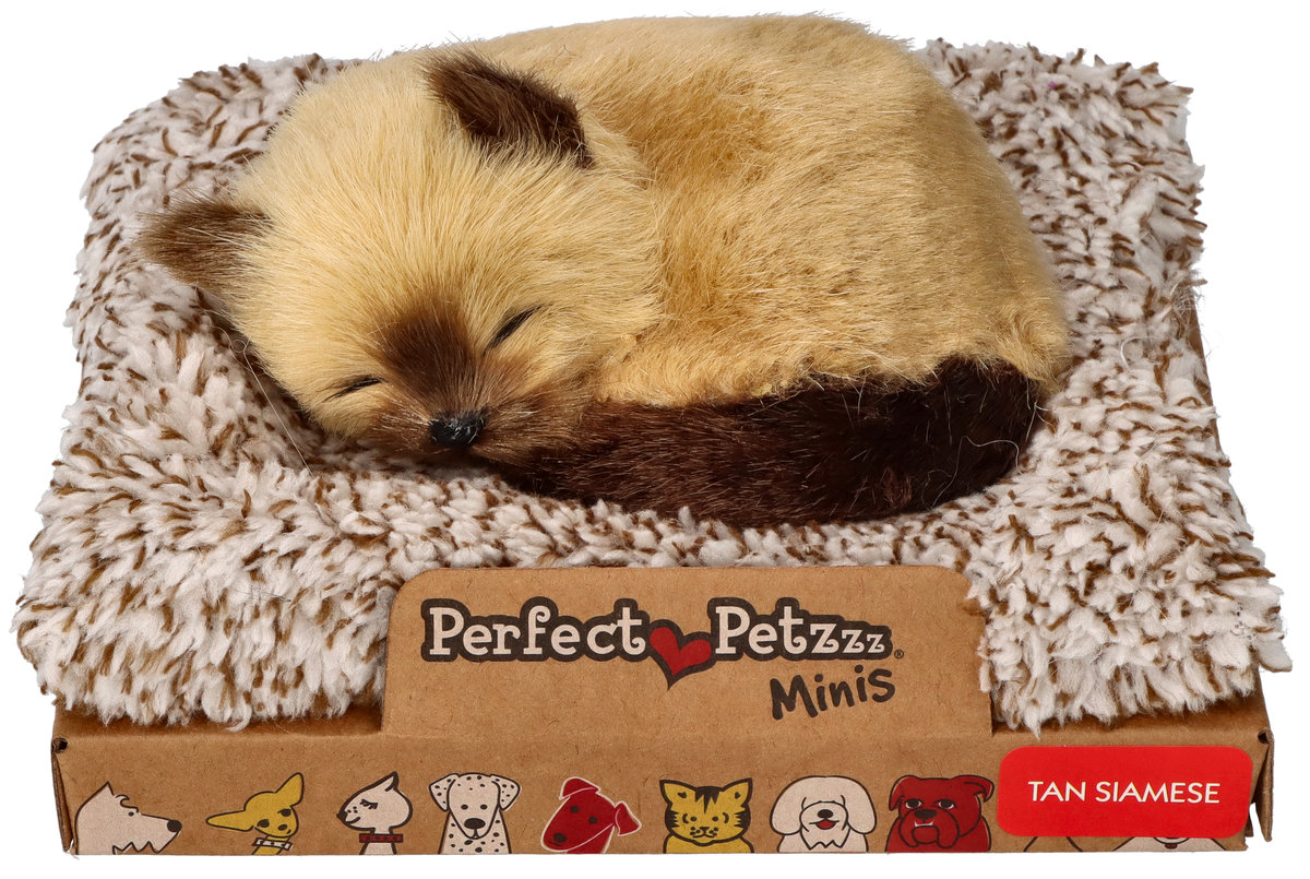 Perfect Petzzz Mały kociak syjamski - Perfect Petzzz | Sklep EMPIK.COM