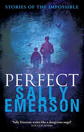 Perfect, Stories of the Impossible - Sally Emerson | Książka w Empik
