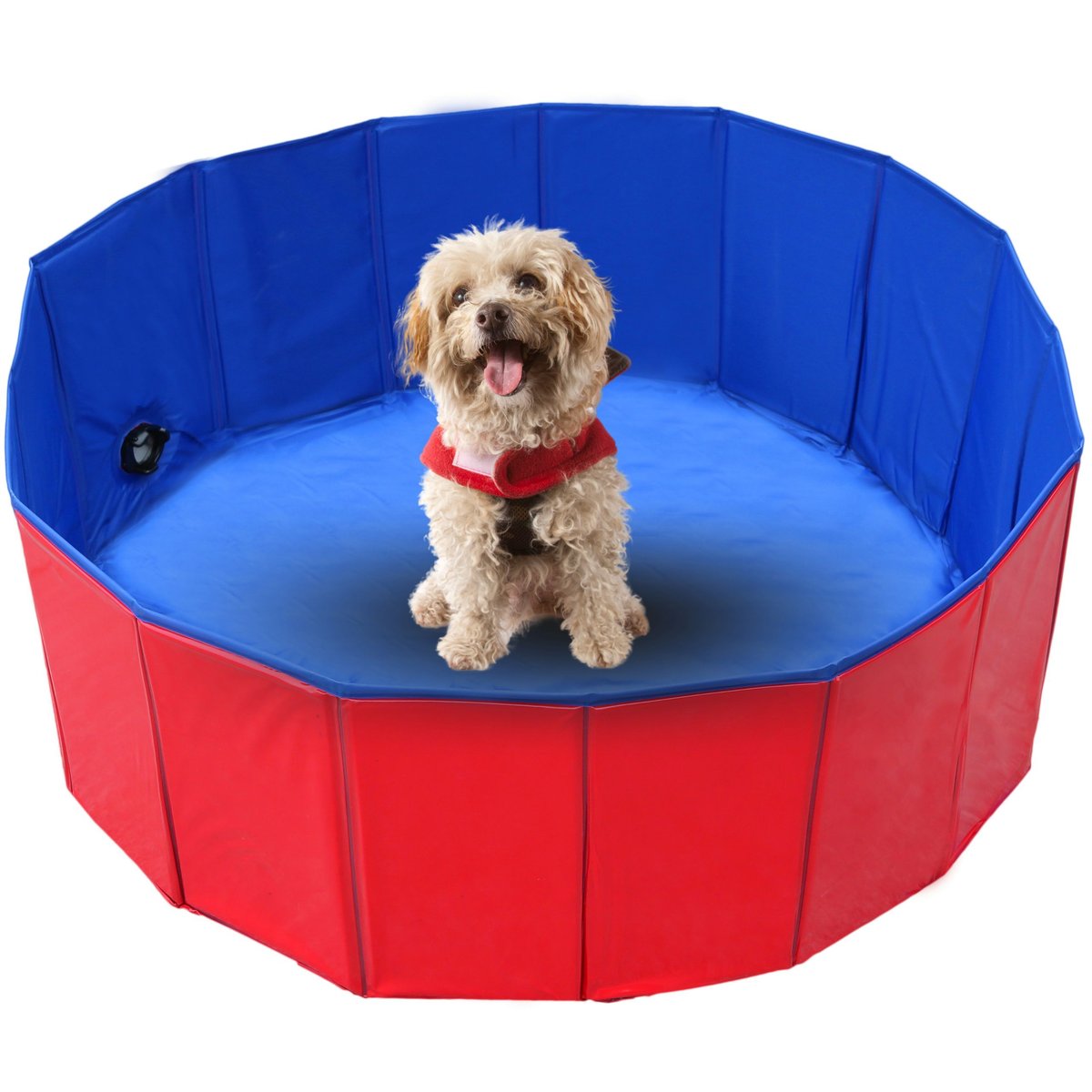 PETSTORY Basen dla Psa rozm. S 60cm - Inna producent | Sklep EMPIK.COM